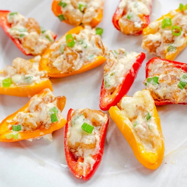 37 Shrimp Appetizer Ideas For Your Next Party - Aleka's Get-Together