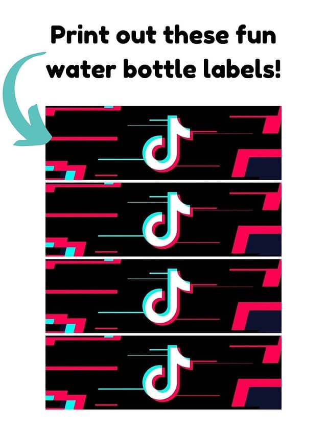 TikTok Party Ideas - Aleka's Get-Together