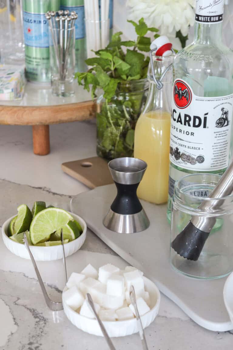Mint Mojito Bar For Parties - Aleka's Get-Together