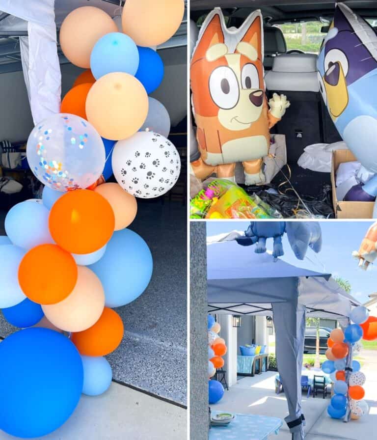 Bluey Birthday Party Ideas - Aleka's Get-Together
