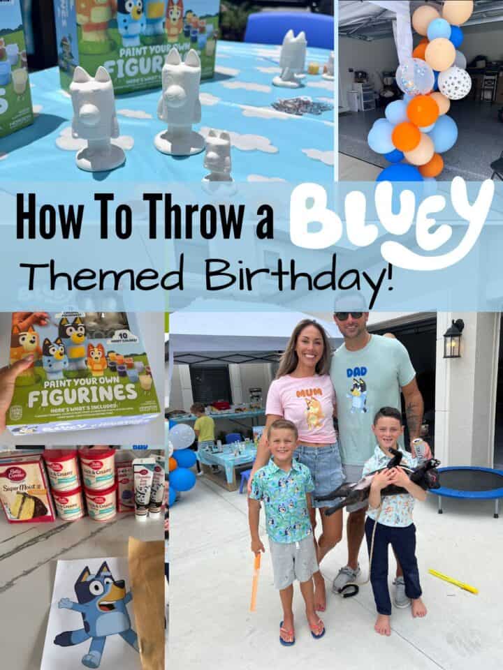 Bluey Birthday Party Ideas - Aleka's Get-Together