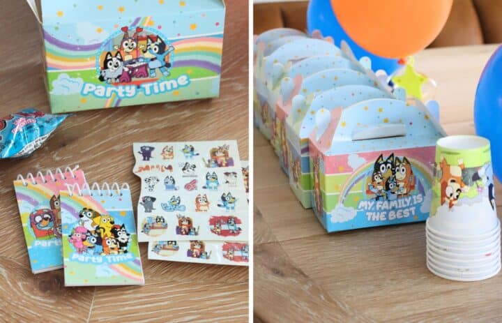 Bluey Birthday Party Ideas - Aleka's Get-Together