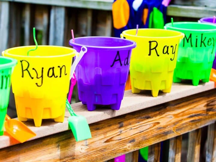 Birthday Party Supplies CheckList - Aleka's Get-Together